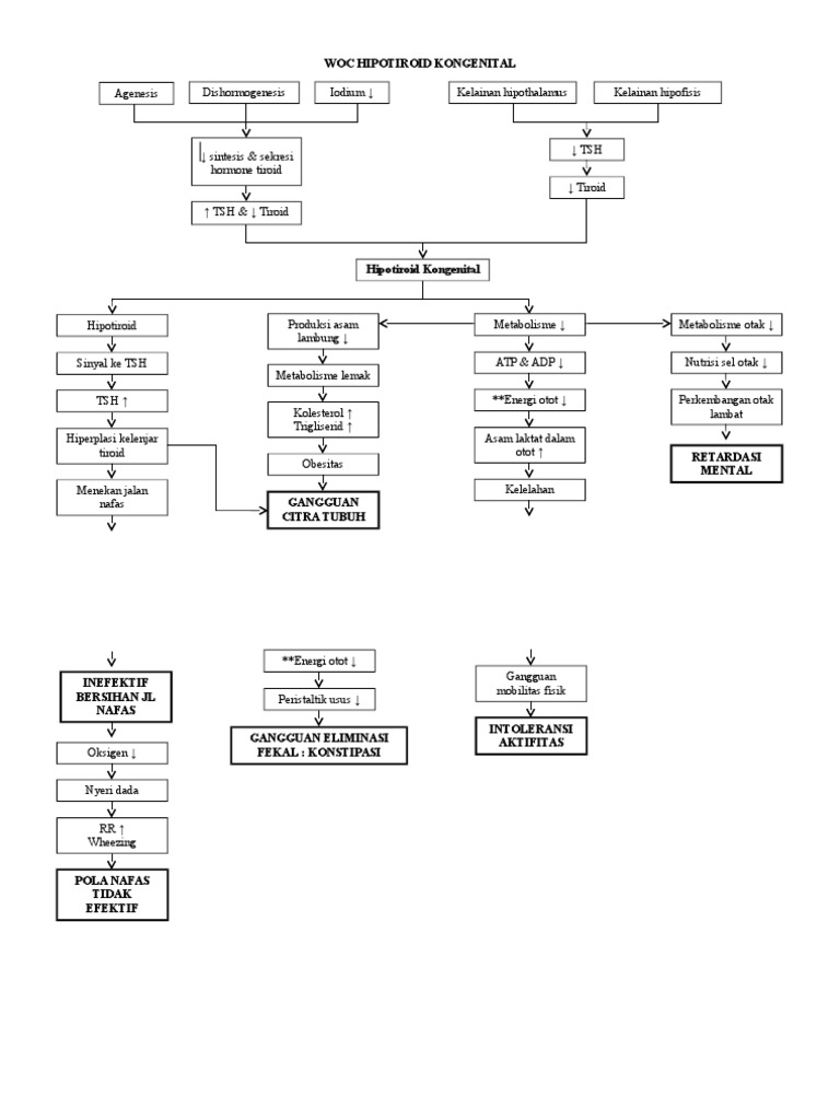 Woc Hipotiroid Kongenital | PDF