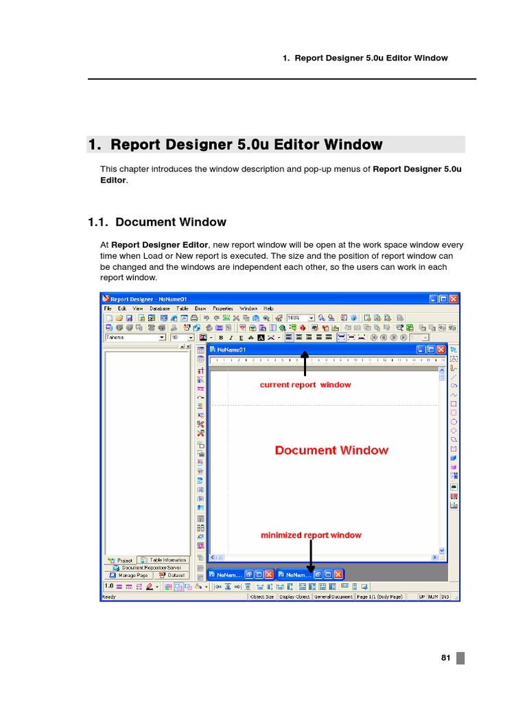 Report designer Manual - 02.Chapter 1_1 | Computer File | Microsoft Windows