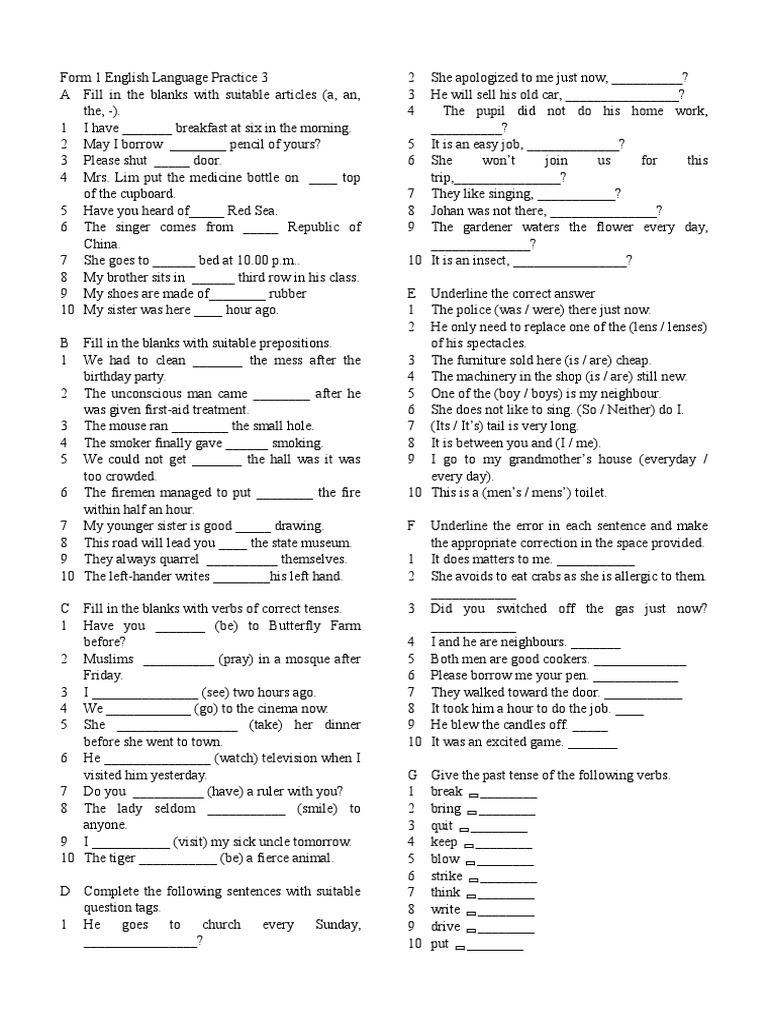Form 1 English Language Practice 3 | PDF | Language Mechanics | Grammar