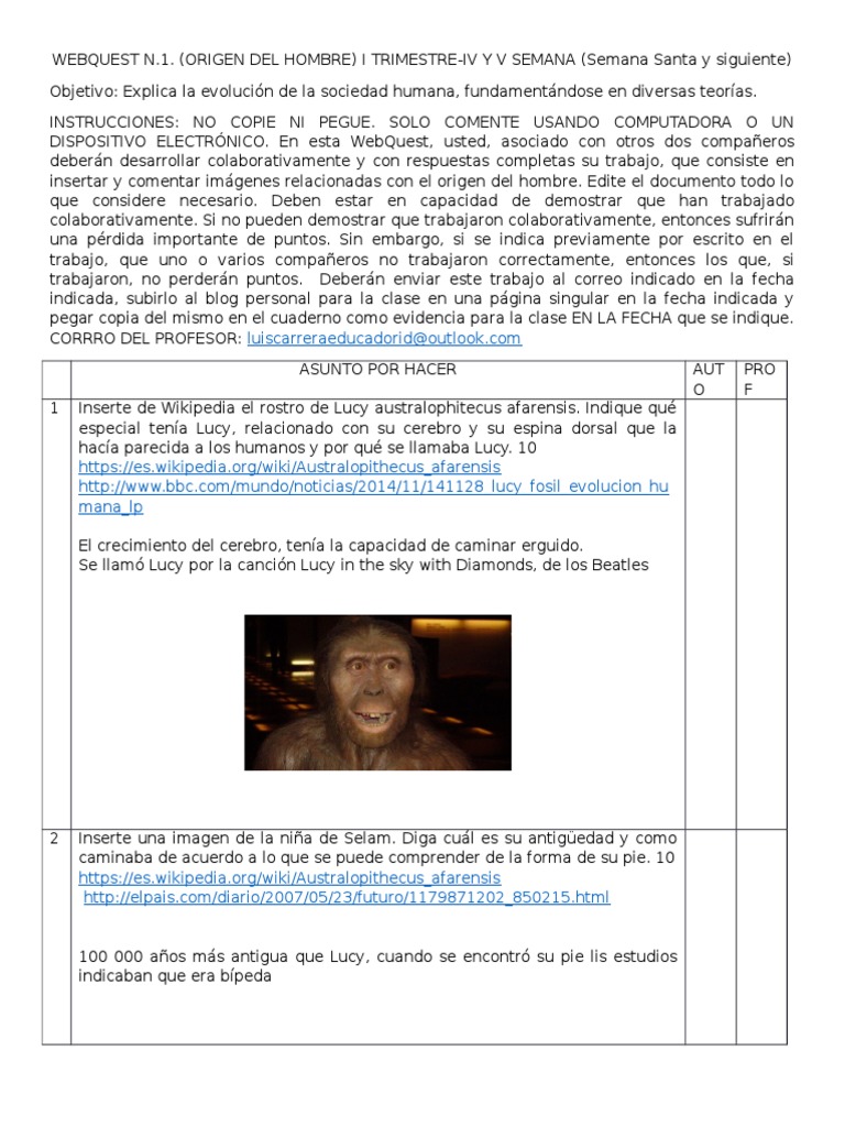 Webquest N.1 It-Civ. | PDF | Evolución humana | Homo Sapiens