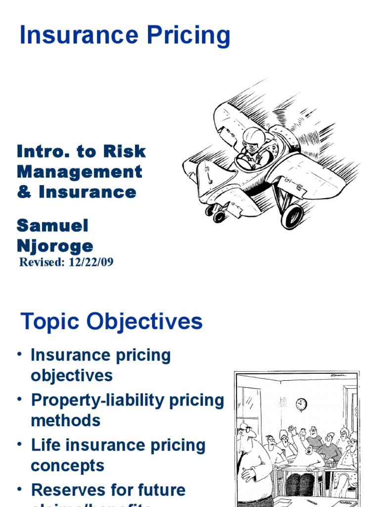 Insurance Pricing | PDF | Vehicle Insurance | Insurance