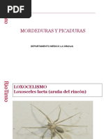 Ficha Técnica de Epingle 10 EC | PDF | Salud y bienestar | Medicina