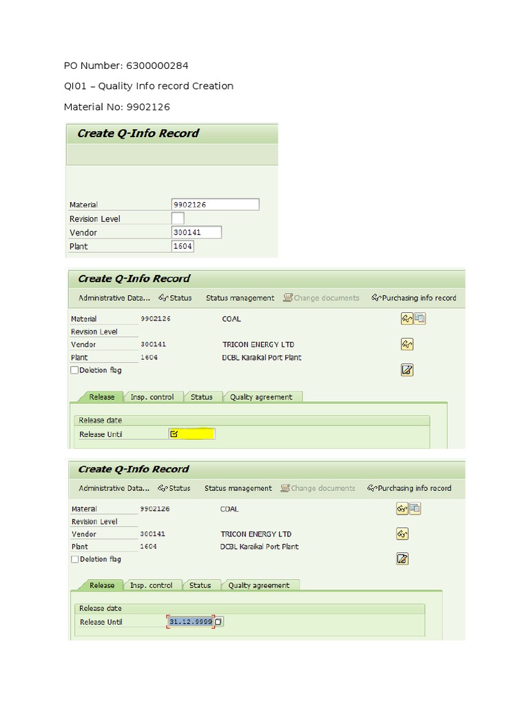 Quality Info Record Guide | PDF