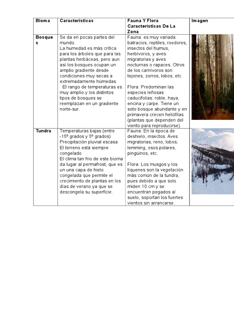 Tabla Comparativa de Los Biomas Terrestres . | PDF | Selva | Desierto