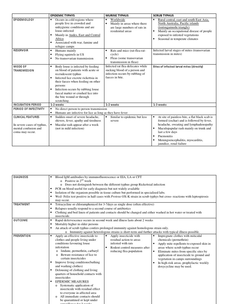 Typhus Transmission and Prevention Guide | PDF | Microbiology ...