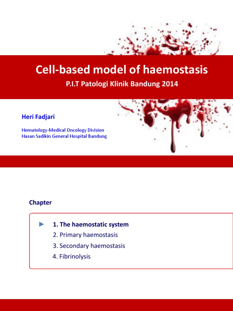 Cell Base Model of Haemostasis | PDF | Coagulation | Hemostasis