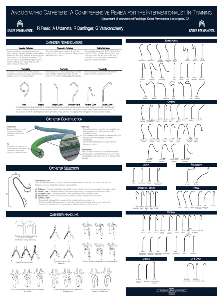 Angio Catheters | Aorta | Cardiovascular System