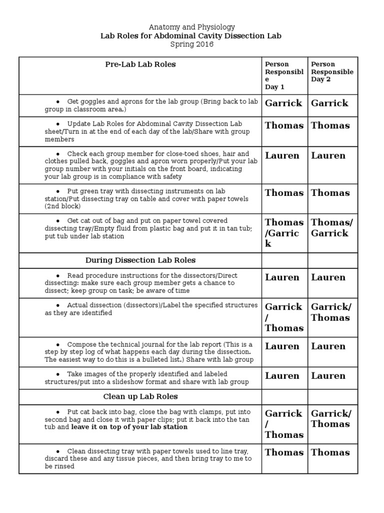 Abdominal Dissection Lab Roles Guide | PDF