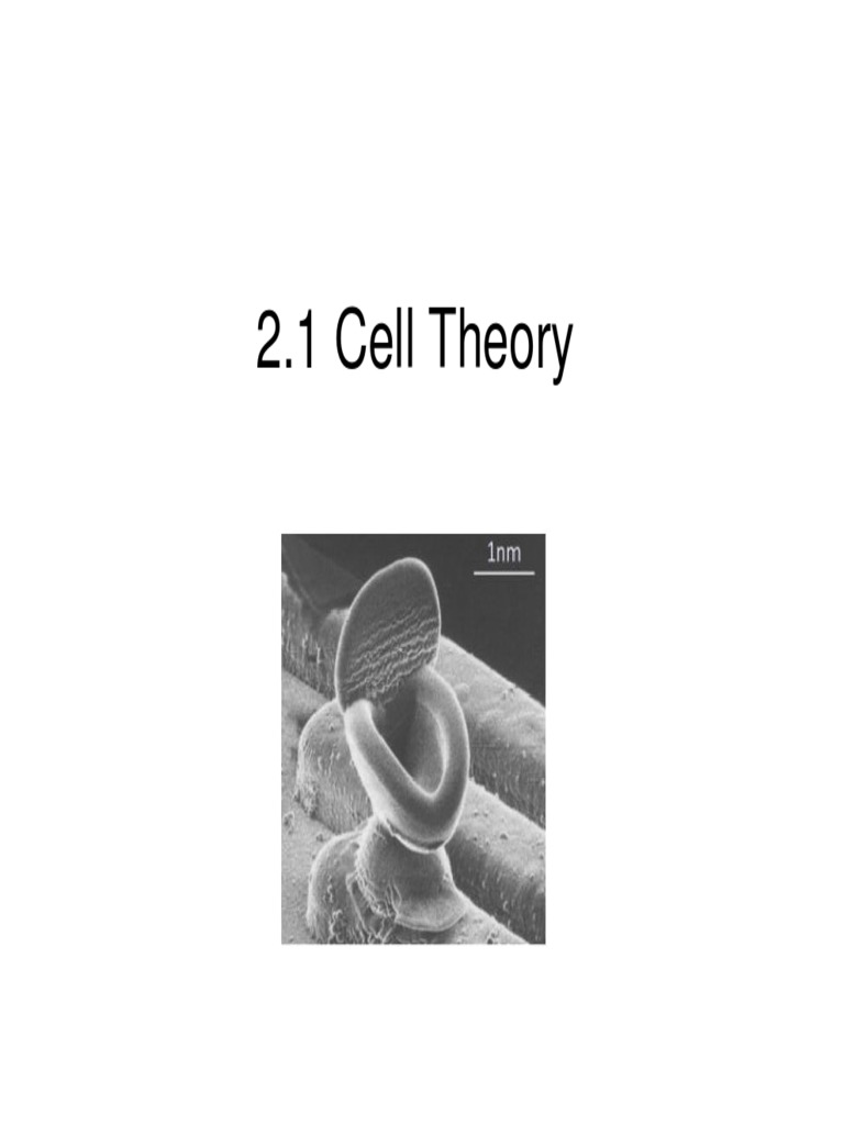 Cell Theory | PDF | Microscope | Electron Microscope