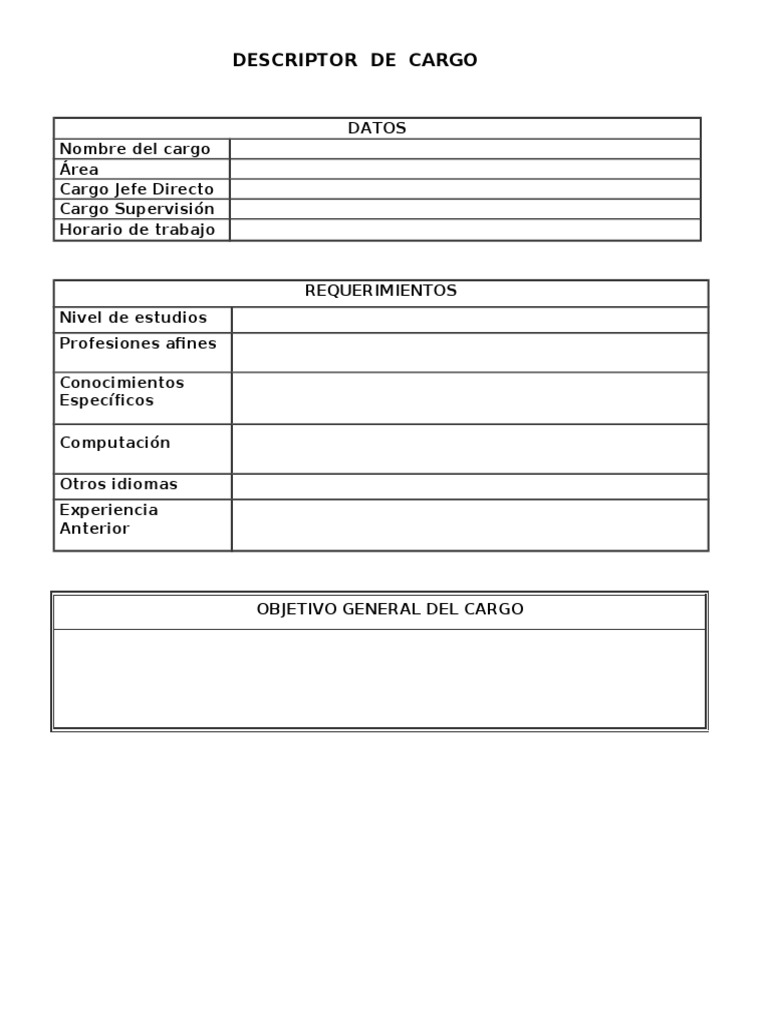 Descriptor de Cargo | PDF