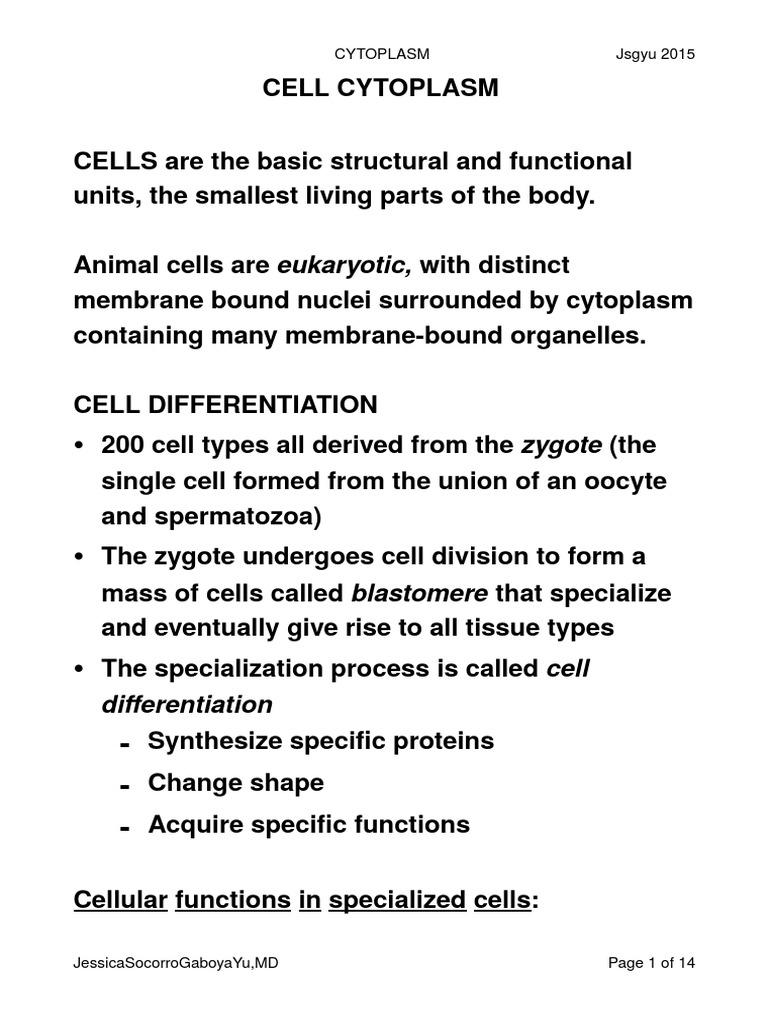 Cytoplasm Histo | PDF | Cell Membrane | Endoplasmic Reticulum