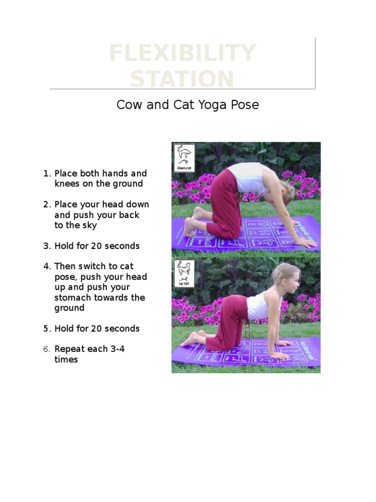 Flexibility Station Poster | PDF | Cooking, Food & Wine