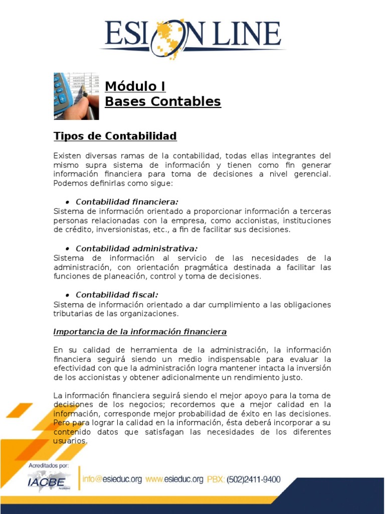 Bases Contables | PDF | Contabilidad | Planificación