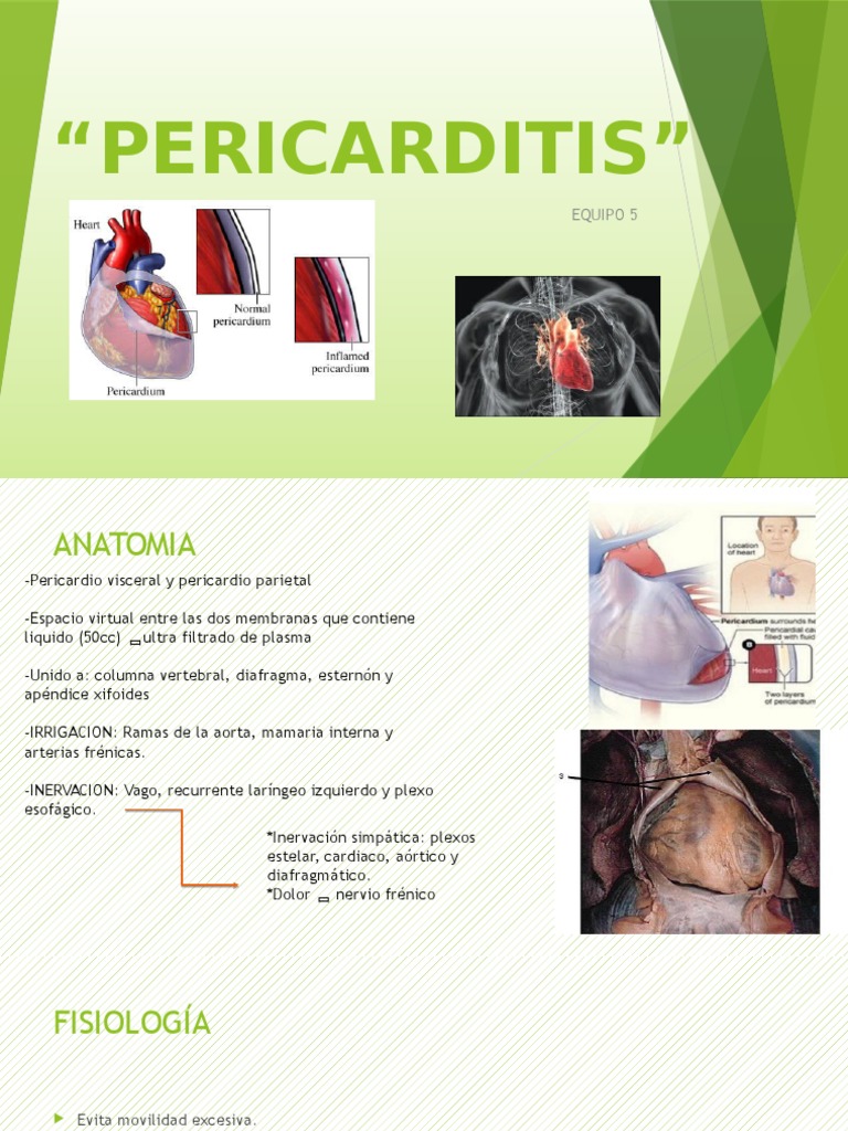 Análisis completo de la anatomía, fisiología, cuadro clínico, diagnóstico y tratamiento de la ...