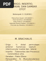 Tabel Ringkasan Origo, Insersio, Inervasi Dan Aksi Otot Manusia - Dr. S ...