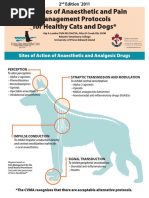 Kitty Magic | PDF | Anesthesia | Surgery