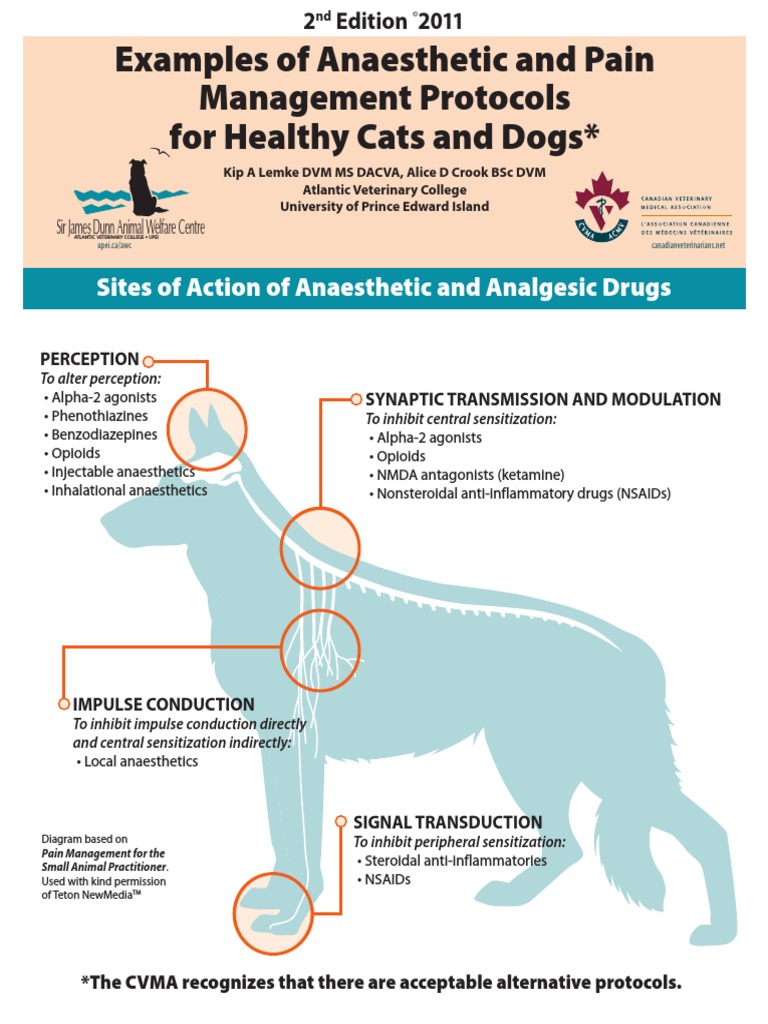 Examples of Anaesthetic and Pain Management Protocols for Healthy Cats ...