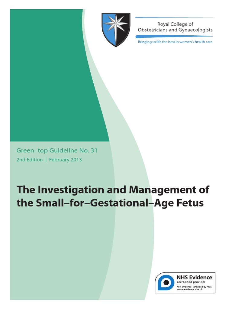 VHBJ | PDF | Fetus | Prenatal Development