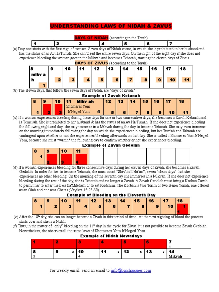 Niddah and Zavah Laws Explained | PDF | Religious Rituals | Jewish Law ...