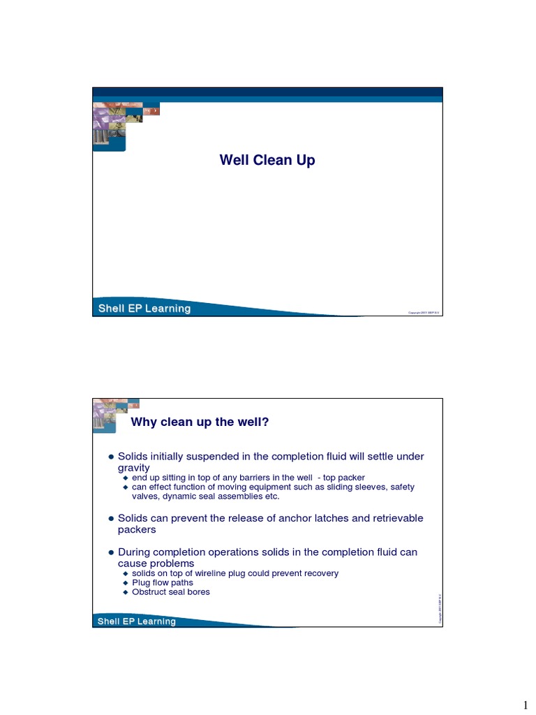 1 - Well Clean Up | PDF | Filtration | Oil Well