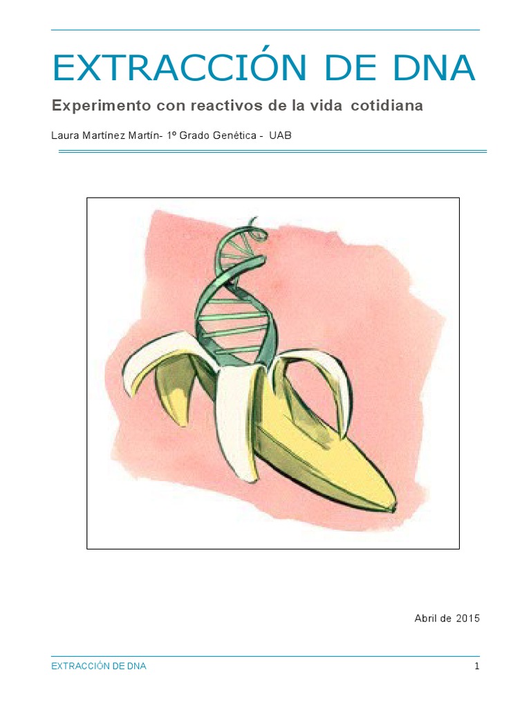Extraccion de ADN - Platano | Membrana celular | Adn