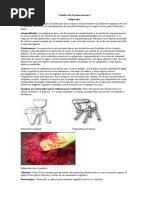 Método Isocrático | PDF | Cromatografía | Línea espectral