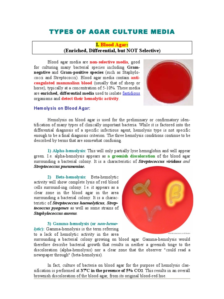 Microbial Culture Media | PDF | Streptococcus | Gram Negative Bacteria