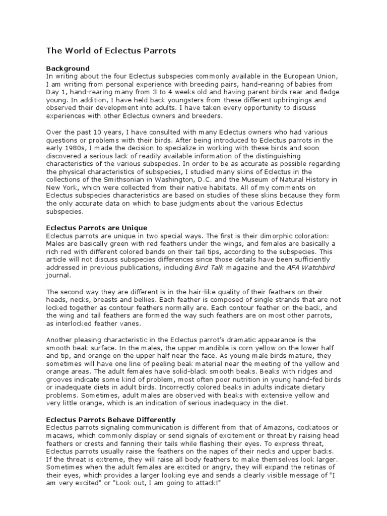 Eclectus Parrot Care and Behavior Guide | PDF | Parrot | Feather
