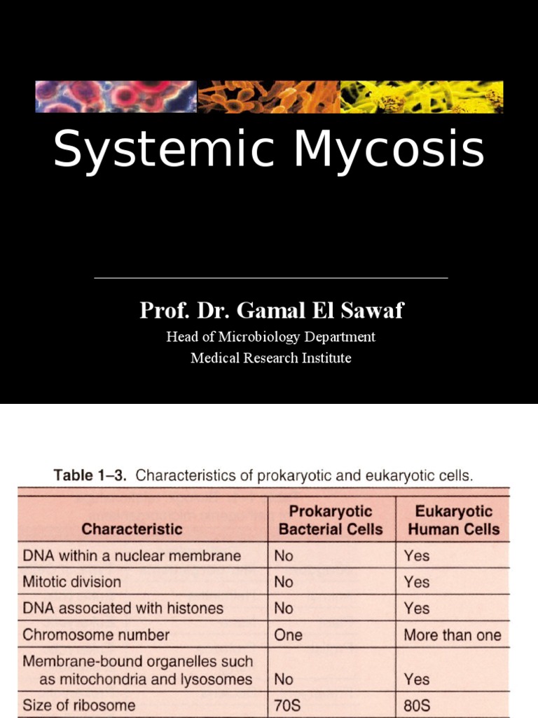 Systemic Mycosis | PDF | Candida (Fungus) | Fungus