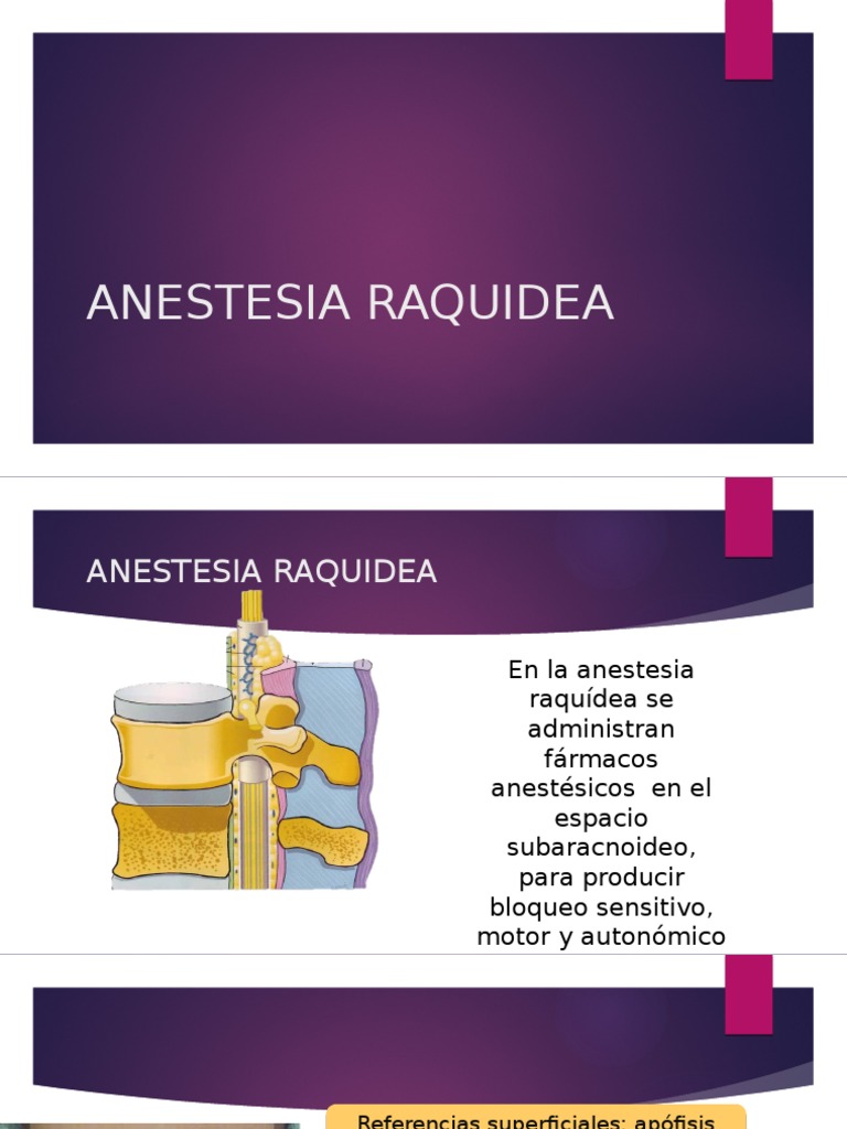 Guía Completa de Anestesia Raquídea | PDF | Fluido cerebroespinal ...