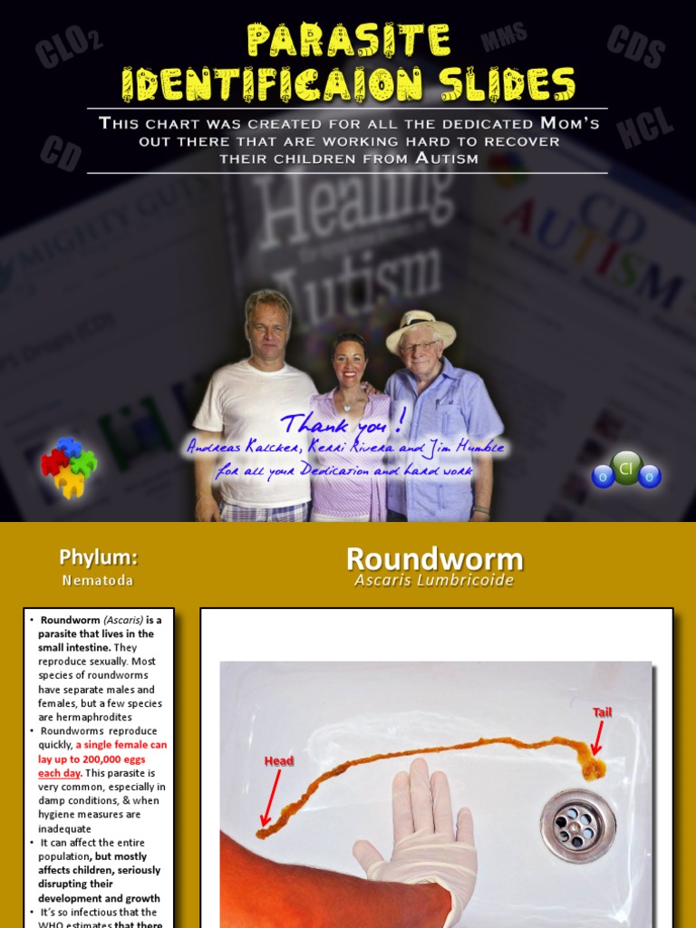 Roundworm and Tapeworm Infections | PDF | Medical Specialties | Animal ...