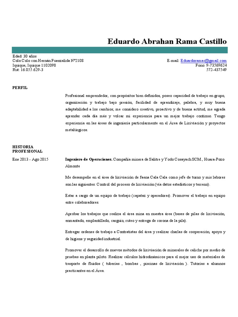 CV Rama C. | PDF | Metalurgia | Cobre