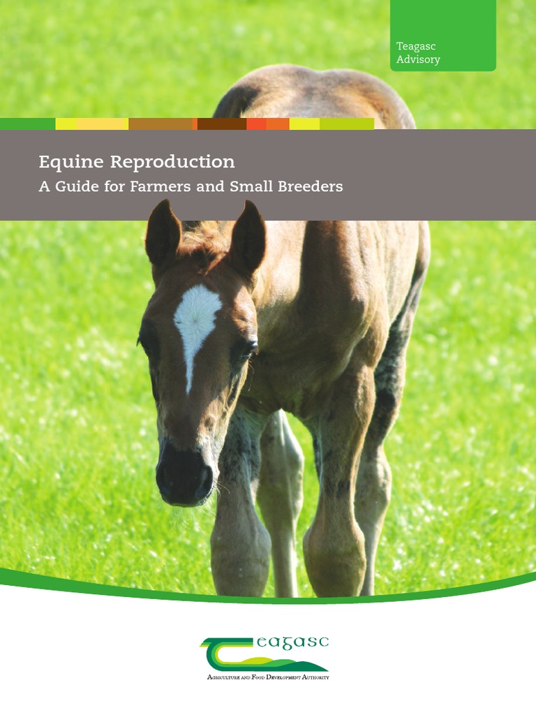 Equine Reproduction Manual Edition 2-July2015 Web | Horse Breeding | Mare