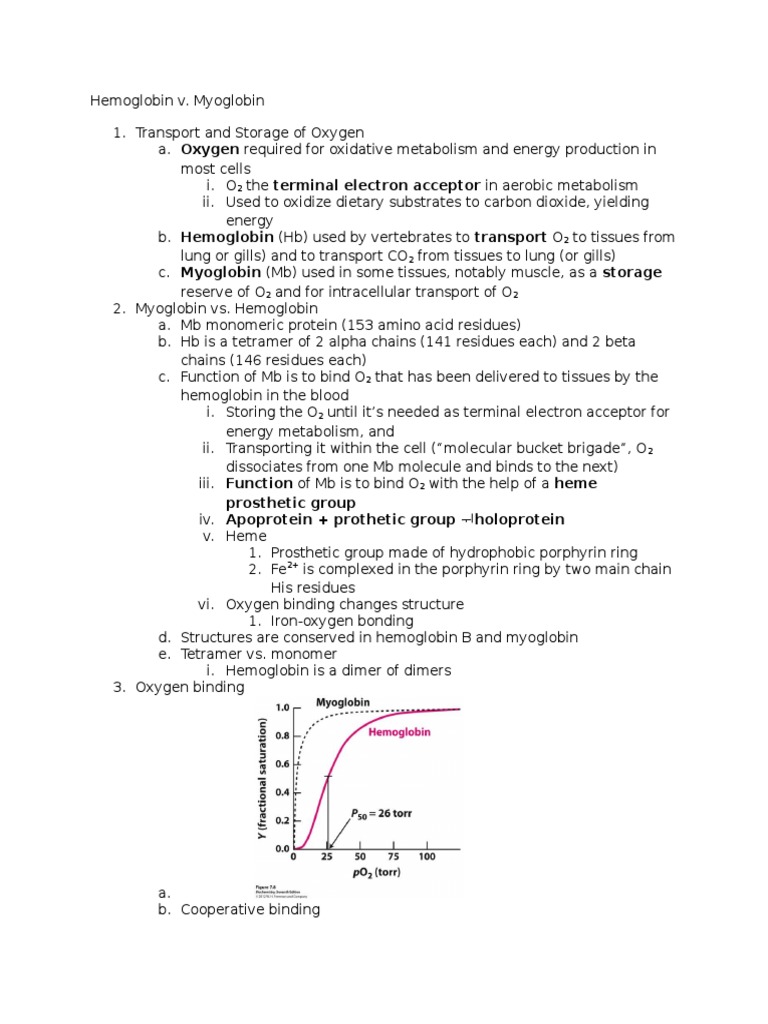 Hemoglobin vs. Myoglobin: Functions & Structure | PDF | Hemoglobin ...