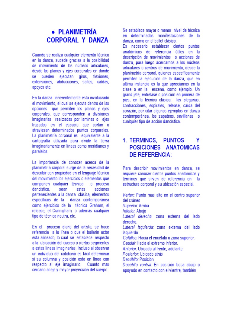 Planimetria en 2 Columnas Articulo PDF | PDF