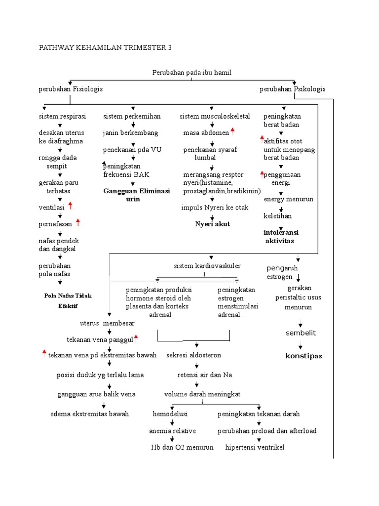 Pathway Kehamilan Trimester 3 | PDF