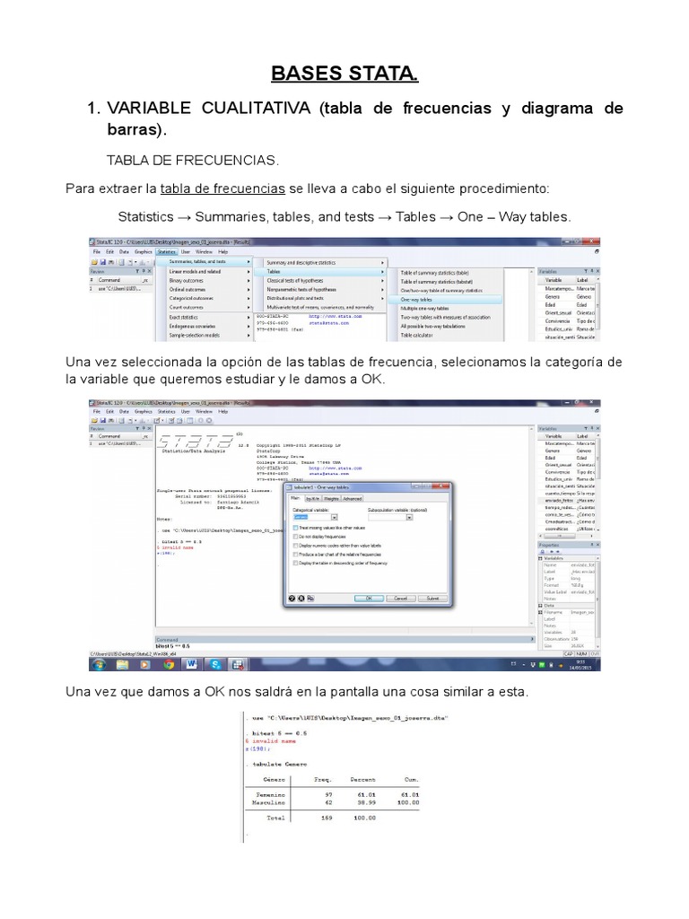 Análisis de Datos en Stata: Guía Práctica | PDF | Histograma | Análisis ...