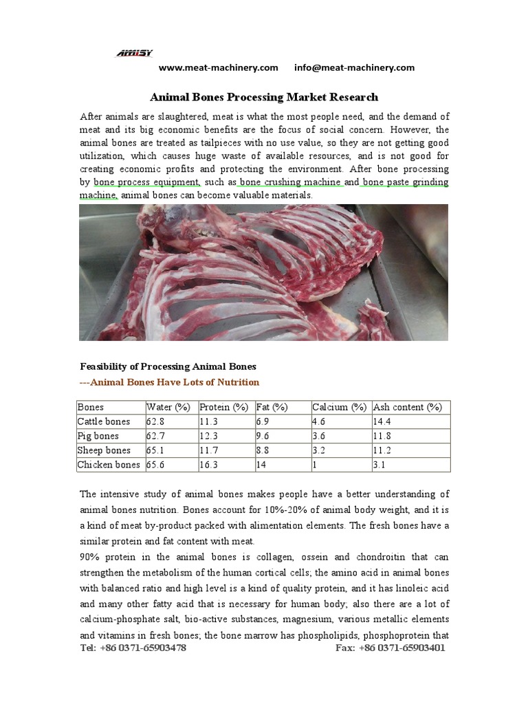 Animal Bones Processing Market Research | PDF | Bone | Meat