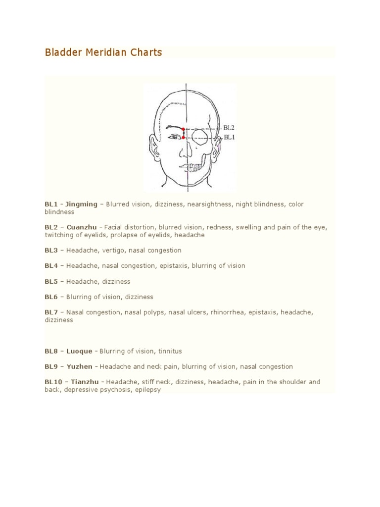 Bladder Meridian Charts | PDF | Abdomen | Cough