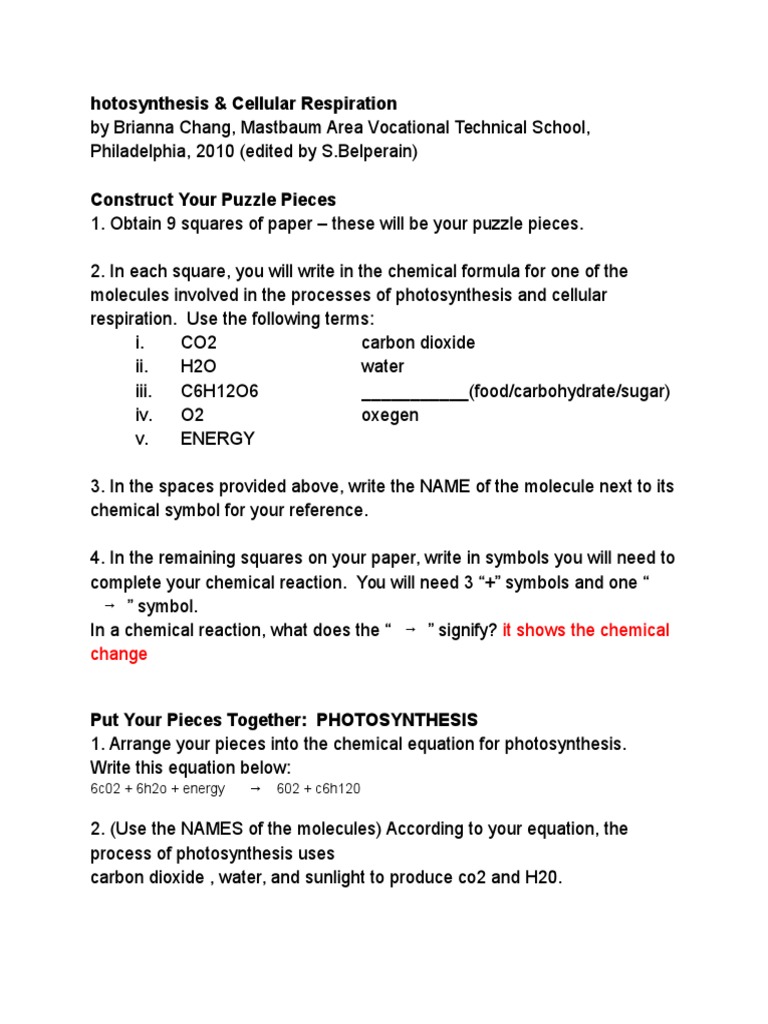Photosynthesis And Cellular Respiration Worksheet Answer Key