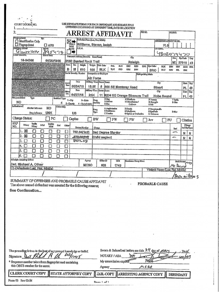 Steven Williams Arrest Affidavit | PDF