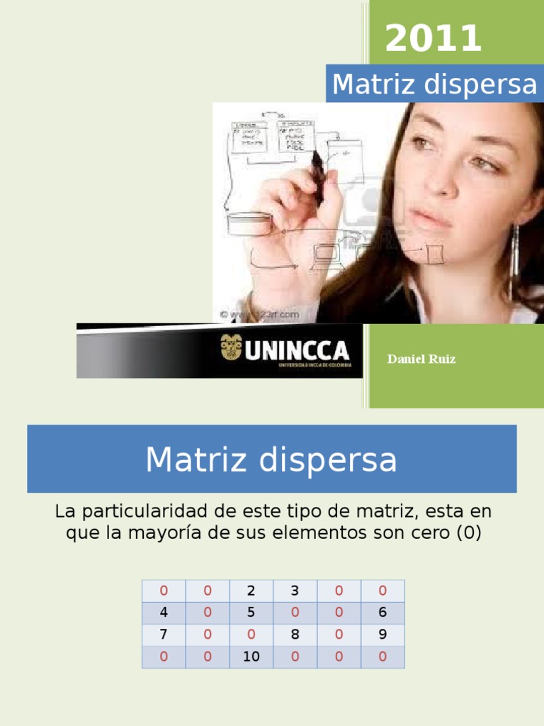 Matriz Dispersa | PDF
