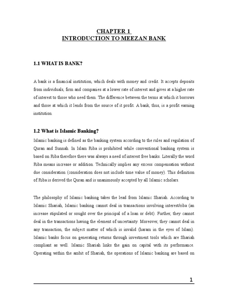 Introduction To Meezan Bank | Download Free PDF | Islamic Banking And ...