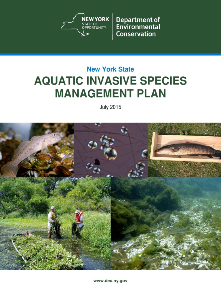 Aquatic Invasive Species Management Plan: New York State | Download ...