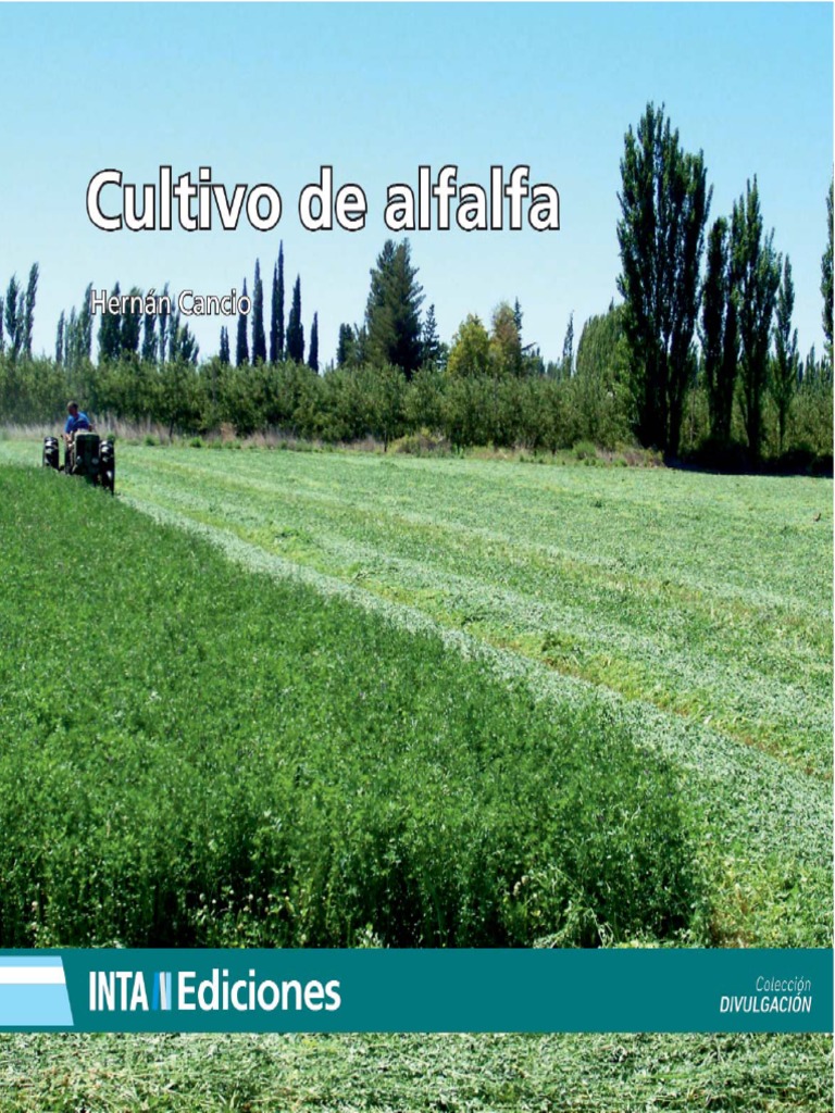 Cultivo de Alfalfa | Siembra | Suelo