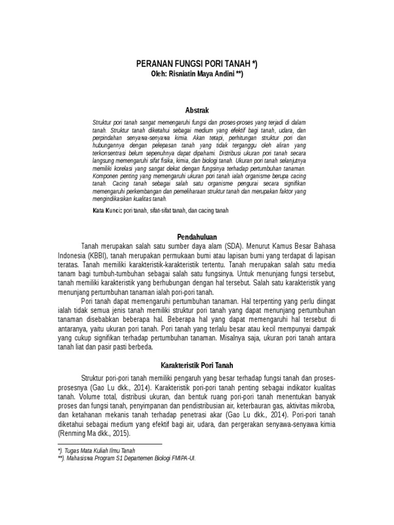 Peranan Fungsi Pori Tanah | PDF