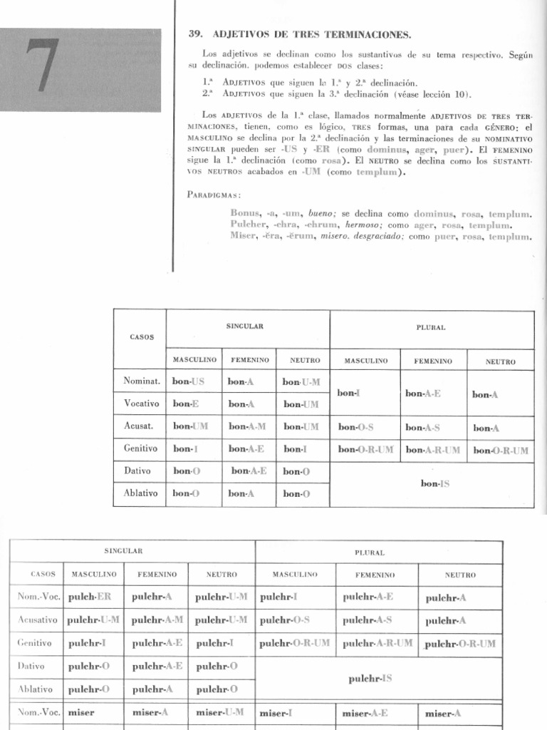 Adj Prep y Numerales | PDF | latín | Semántica