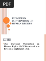 30 Basic Human Rights List | PDF | History