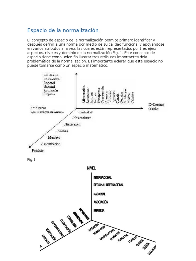 Guía de Normalización y sus Niveles | PDF | Estandarización | Business