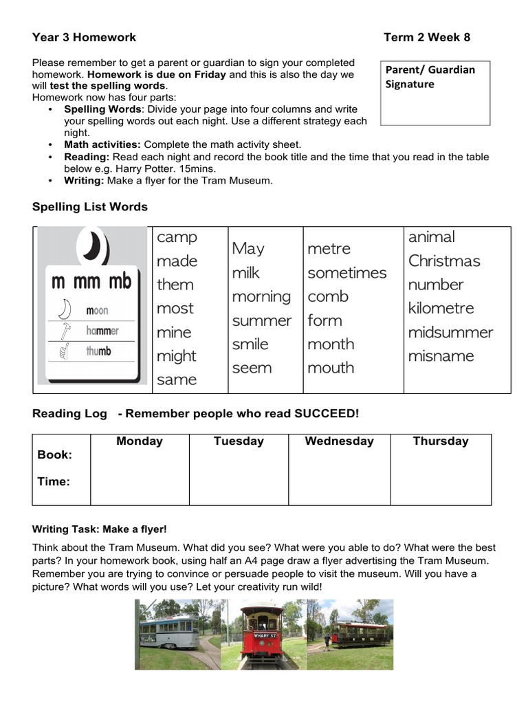 Year 3 Term 2 Week 8 Homework Guide | PDF
